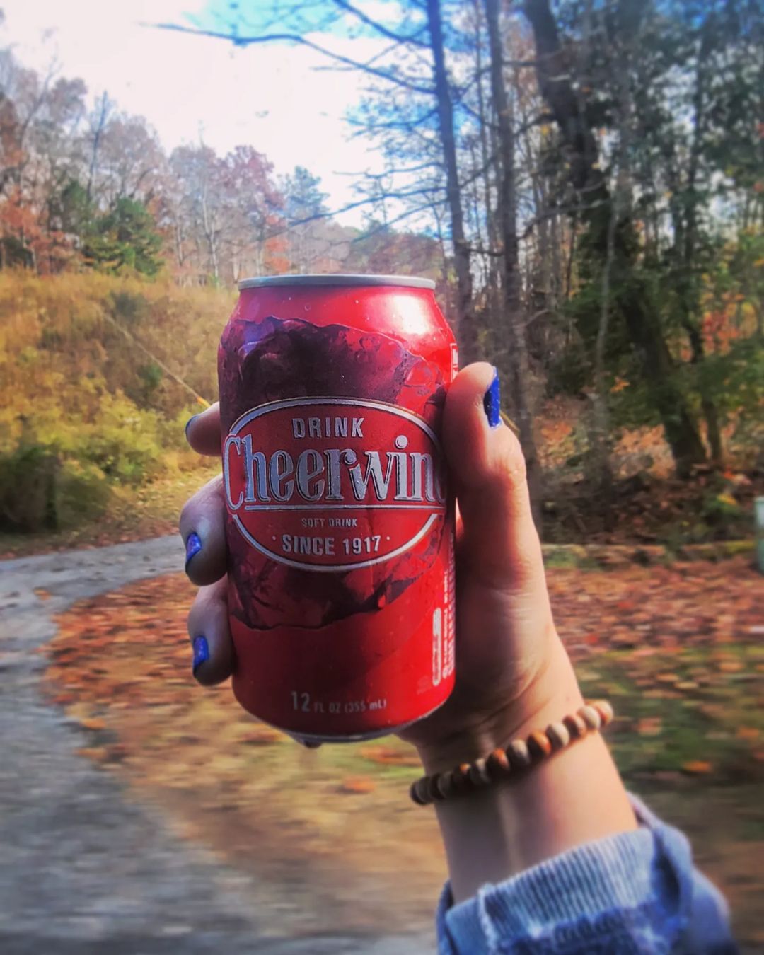 Cheerwine (History, Marketing & Commercials)