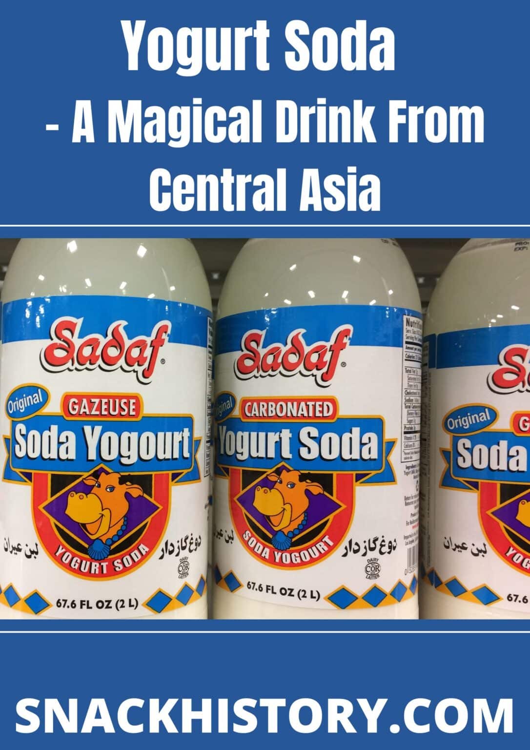 Yogurt Soda - A Magical Drink From Central Asia - Snack History